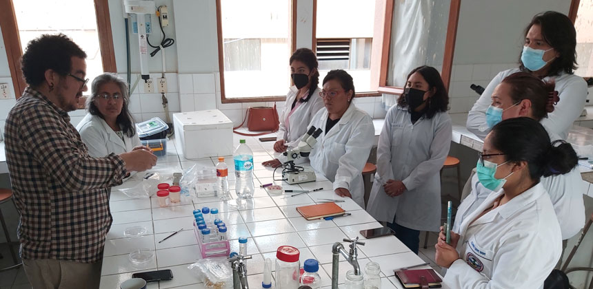 A guide to fellowships for developing world scientists